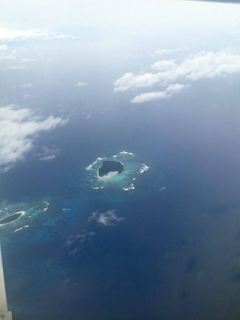 Swimming with Whales in Tonga – Travelgal Nicole Travel Blog