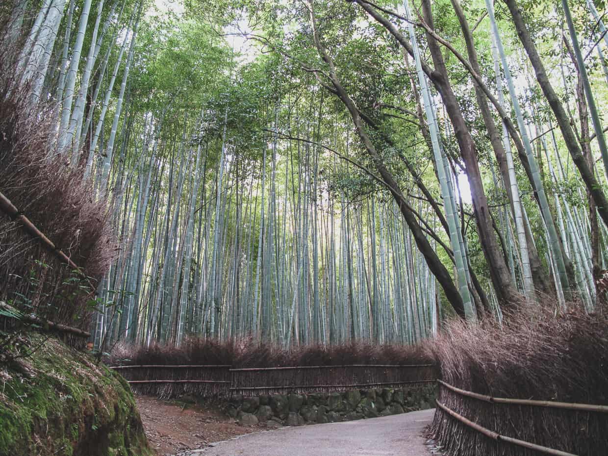 35+ Japan Bucket List Experiences – Travelgal Nicole Travel Blog